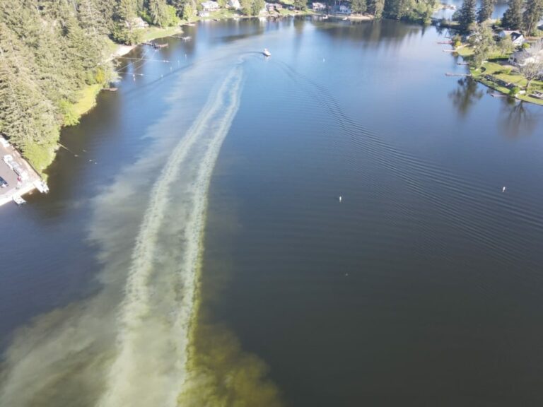 Toxic Algae – AquaTechnex