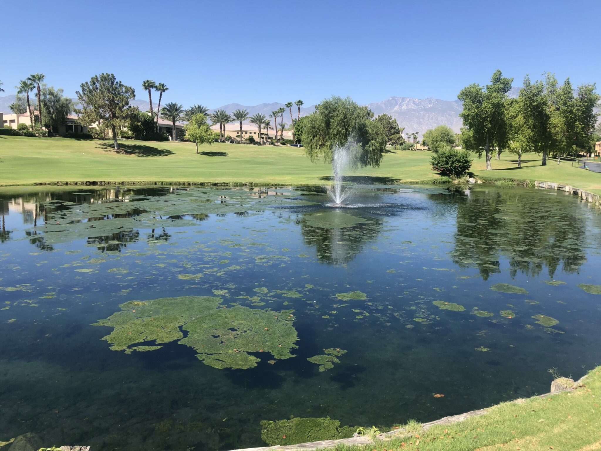 The Problem – AquaTechnex