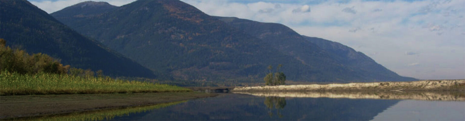 Toxic Algae – AquaTechnex